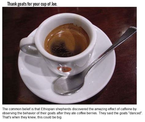 16 Things You Didnt Know About Coffee Others