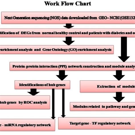 Overview Of Data Analysis Methodology Download Scientific Diagram