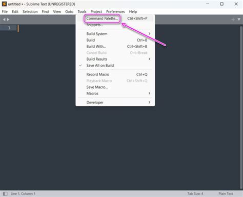 Sublime Text 3 4 скачать бесплатно на русском полную версию настройка как запустить код