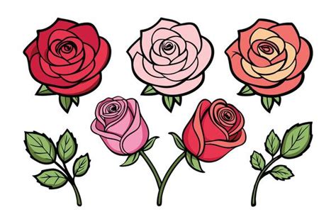 Rose Bundle Vector Art Icons And Graphics For Free Download