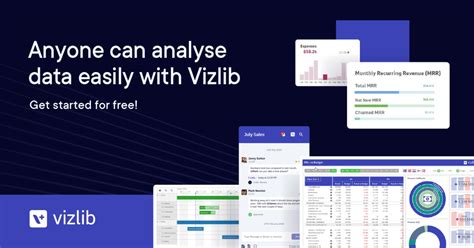 Vizlib Insightsoftware On Linkedin Vizlib Portal
