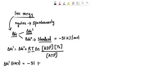 solved the concentrations of atp adp and pi differ with cell type