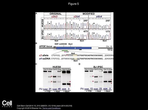 Volume 15 Issue 2 Pages August 2014 Ppt Download