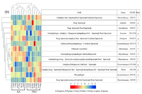 The Heatmap Clustering And Distribution Of Bacterial A And Fungal B