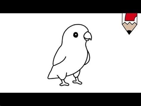 رسم طيور بالرصاص رسم طيور سهل رسم طيور الحب رسم سهل رسم بسيط تعليم الرسم Youtube