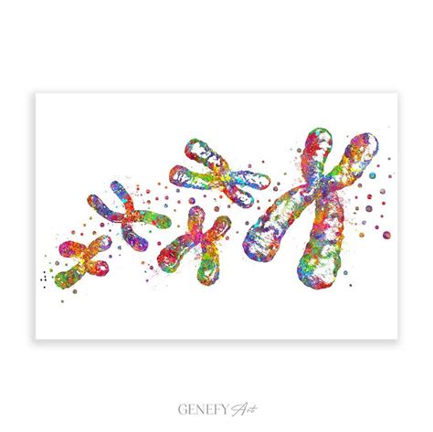 Chromosome Watercolor Art Print Chromosome Art Medical Art Poster