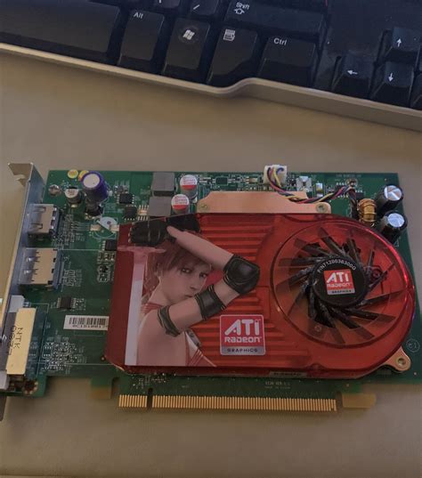 Finally Managed To Get My Hands On A GPU Fuck Scalpers R Pcmasterrace