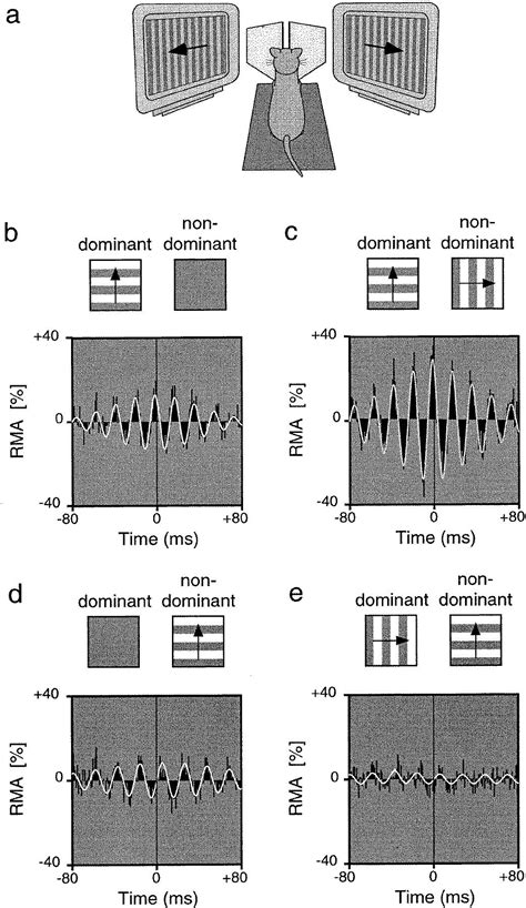 Neuronal Synchrony A Versatile Code For The Definition Of Relations Neuron