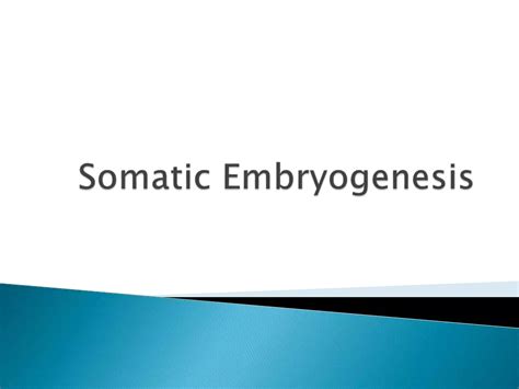 Somatic Embryogenesispptx