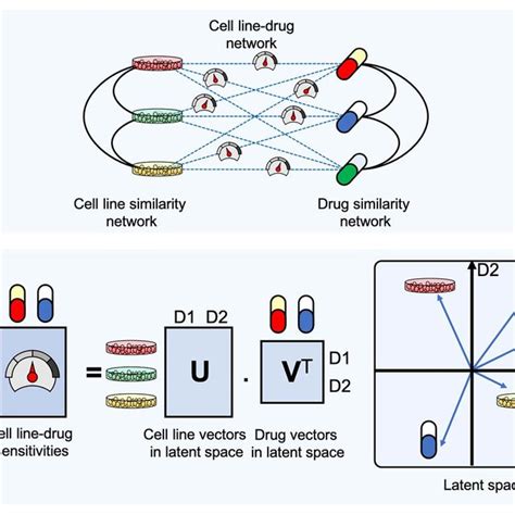 Artificial Neural Networks In Drug Response Prediction Can Be