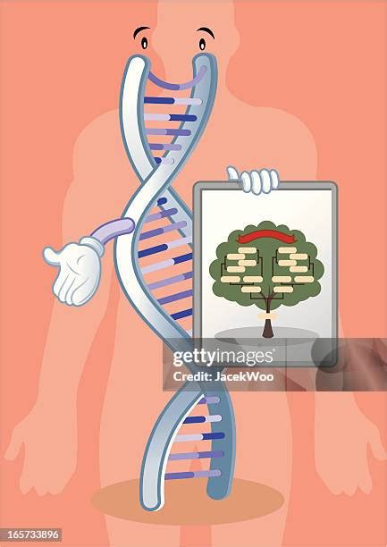 122 Dna Cartoon High Res Illustrations Getty Images
