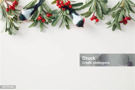 녹색 잎과 빨간 열매 와 백색 배경에 Bullfinchs 와의 평면도 크리스마스 휴일 인사말 카드 템플릿 0명에 대한 스톡 사진 및 기타 이미지 Istock