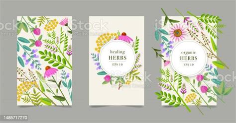 유기농 컬렉션 에코 샵 프리미엄 품질의 카드 또는 포스터 세트가 있는 천연 화장품 매장 제품 판매 광고 다양한 색상의 나뭇잎이 있는 자연스러운 디자인 나물 감초 사탕에 대한