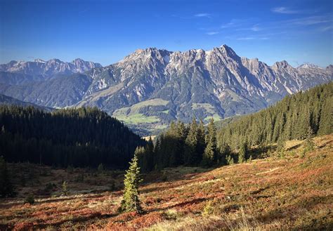 Tun — Greta Adolf Wiesner