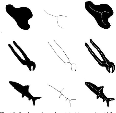 figure 2 from skeletonization using ssm of the distance transform