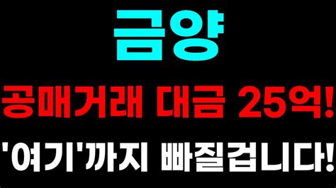 금양 공매거래 대금 25억 여기까지 빠질겁니다 금양 금양주가 금양공시 박순혁 박순혁이사 김작가tv 삼프로
