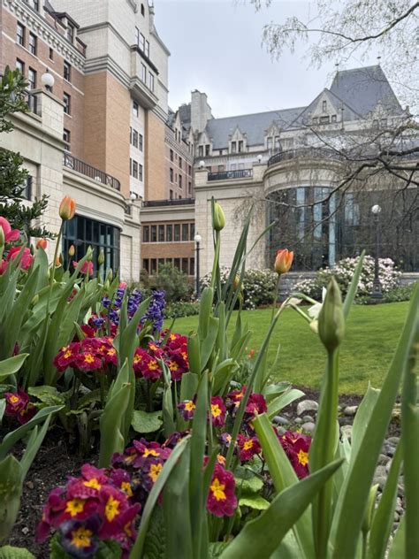 Inside The Fairmont Empress Victoria Staying At Canadas Top Luxury