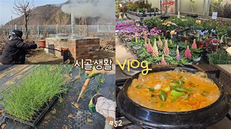 Sub시골생활🪻 꽃시장가서 구경하고 꽃과 체리나무 심기 아궁이 문 달기 호미 하나로 비닐 씌우기 고구마칩 만들기