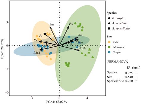 Vein Network And Climatic Factors Predict The Leaf Economic Spectrum Of