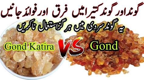 Difference Between Gond And Gond Katira Gond Katira Vs Gond Gond