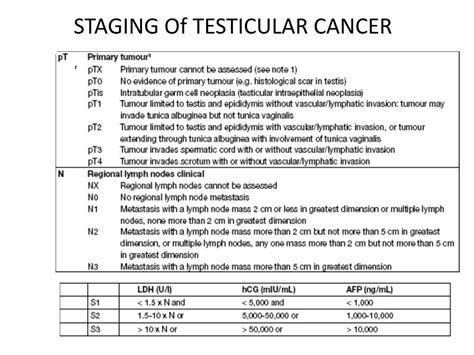 Ppt Management Of Testicular Cancer Powerpoint Presentation Free