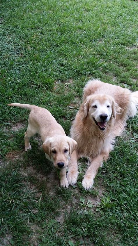 Docker Vigo County Search And Rescue