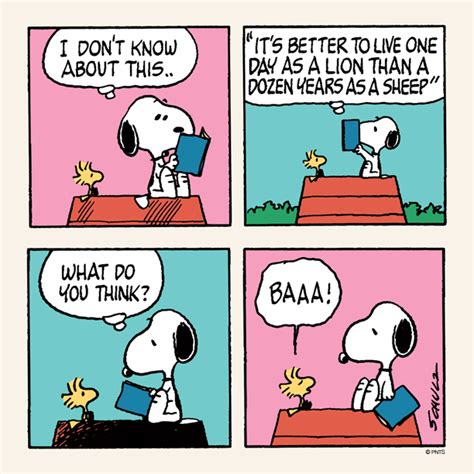 Tuesday With Snoopy And Woodstock Peanuts Comic Book Reading Snoopy