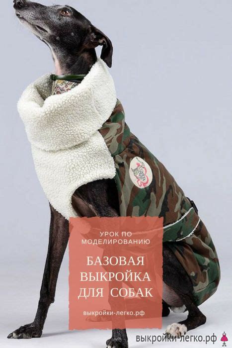 1 (467x700, 263Kb) | Large dog clothes, Dog clothes patterns, Dog clothes