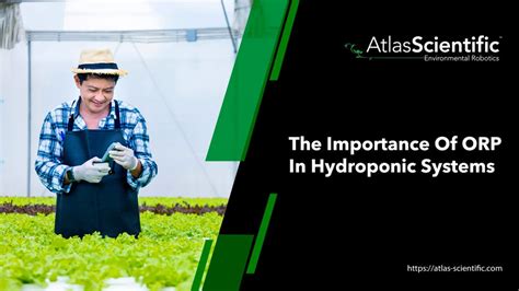 What Is The Typical Water Conductivity Range Atlas Scientific