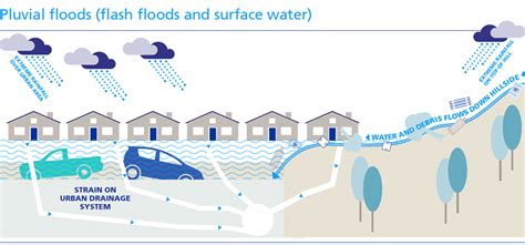How Does A Flash Flood Happen At Pam Calhoun Blog