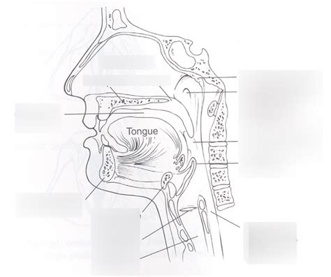 Dcom Exam 2 Diagram 3 Diagram Quizlet