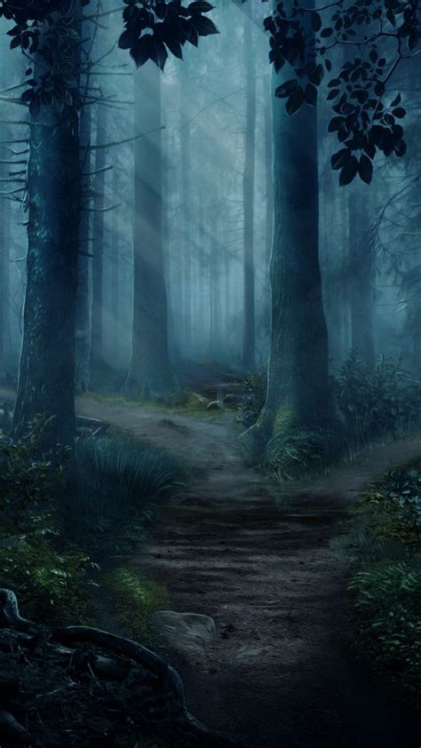 Path In The Dark Forest The Dark Forest Background Dnd Night Forest