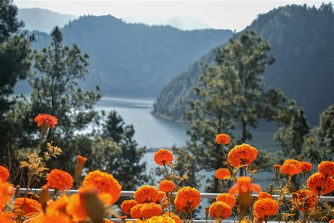 Kulekhani Village Resort Kulekhani Markhu Gallery Restroverse