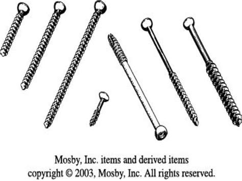 The Scribes Slide Fracture Classification Management Pptx