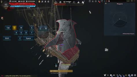 [lionze] Bdo Candidum Solo Kill Youtube