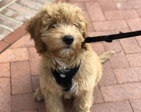 Comcate Software For Transforming Local Gov Delivery Comcate Software For Transforming Local Gov Delivery