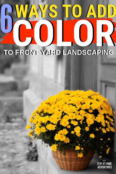How To Add Color To Front Yard Landscaping No Experts Required