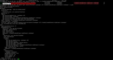 Applications Phase Is Running And Status Is Healthybut Have No Any Resource Such As Pod Svc