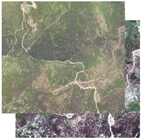 Improving Measurement Of Forest Structural Parameters By Co Registering