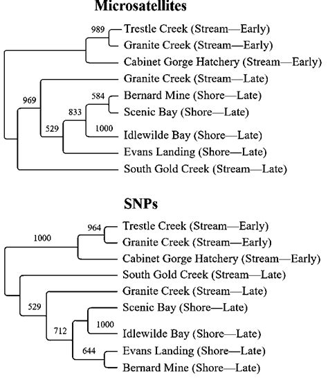 Dendrograms Showing Genetic Relationships Among Kokanee Spawning Groups