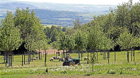 So Könnte Die Neue Landwirtschaft In Der Region Aussehen