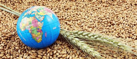 ما هي مهام الهيئة العامة للامن الغذائي وما هو تاريخها؟ مدونة بيوت