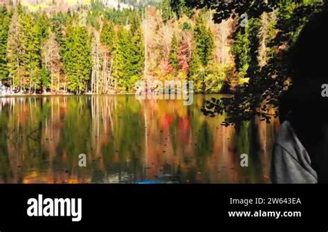 Fall Tree Reflections On Lake Stock Videos Footage HD And K Video Clips Alamy