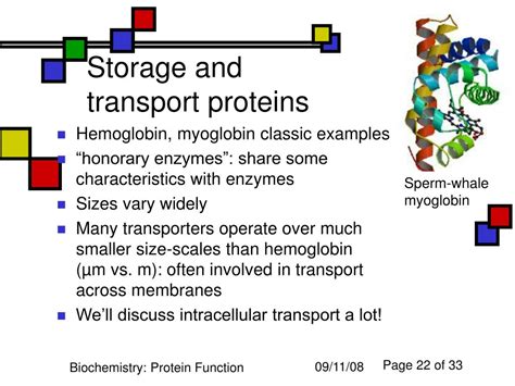 Small Proteins Examples At James Marts Blog
