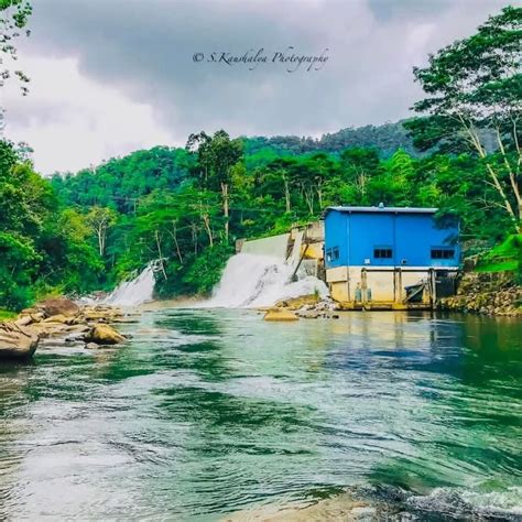 පරිසරය සුරකිමු