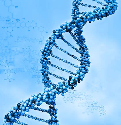 Punnetts Square Medical School Genetics Course Lacking