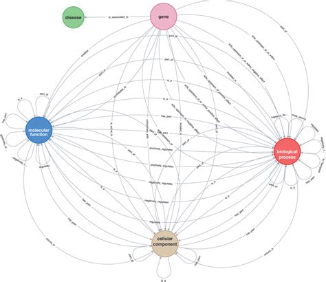 Metagraph Representing All The Node And Relationship Types In The Kg