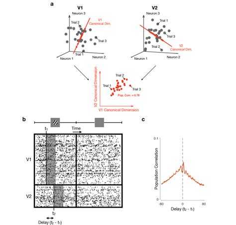 Using Canonical Correlation Analysis Cca To Capture Population Download Scientific Diagram