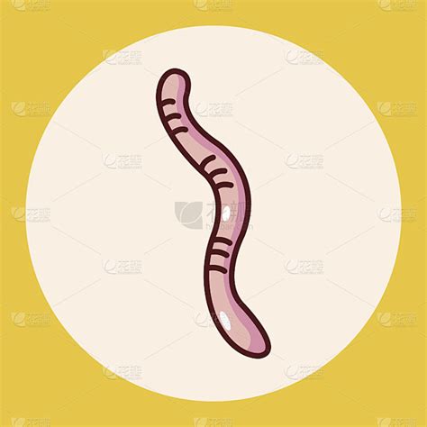 Bug卡通元素向量，eps