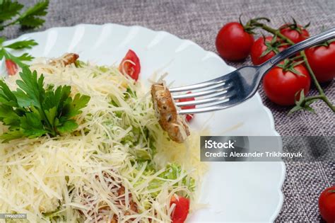 흰색 접시에 닭고기와 시저 샐러드 레스토랑 메뉴 토마토로 장식되어 있으며 강판에 간 치즈를 뿌렸습니다 밝은 회색 캔버스에 고급